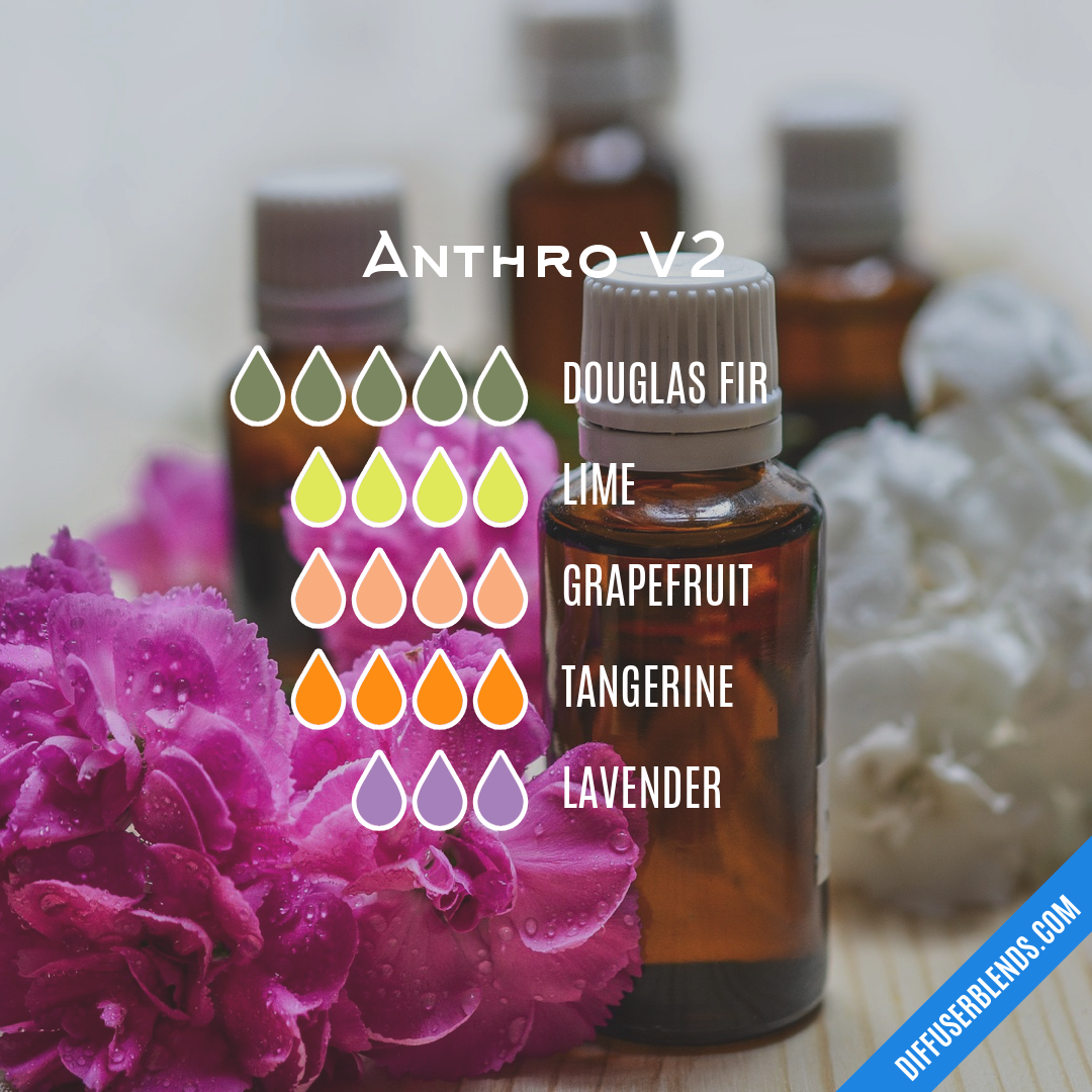 Anthro V2 | DiffuserBlends.com