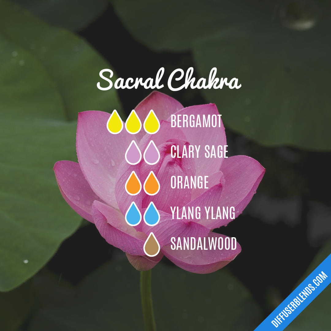 Sacral Chakra | DiffuserBlends.com