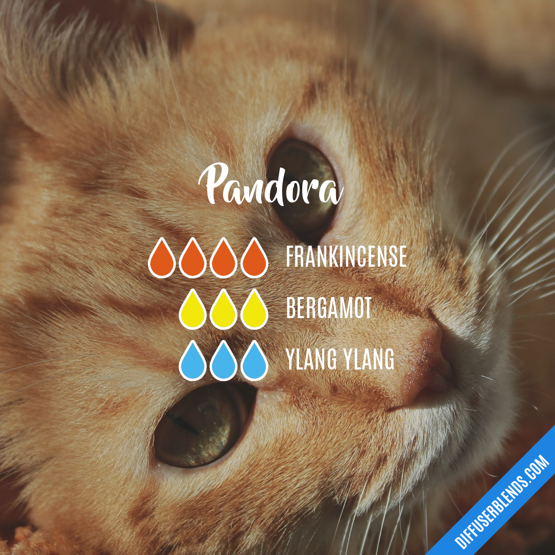 Pandora | DiffuserBlends.com