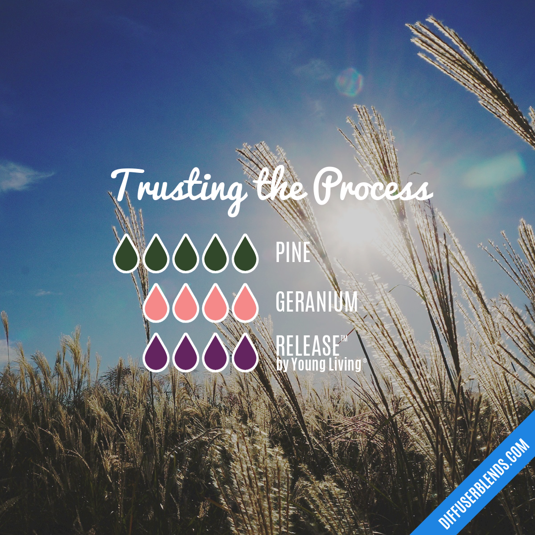 Trusting the Process | DiffuserBlends.com