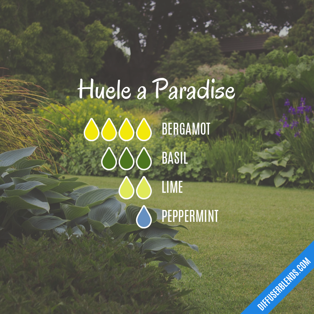 Huele a Paradise | DiffuserBlends.com