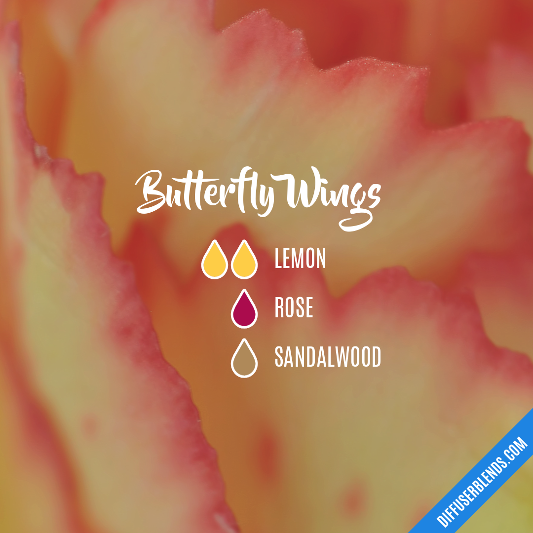 Butterfly Wings | DiffuserBlends.com