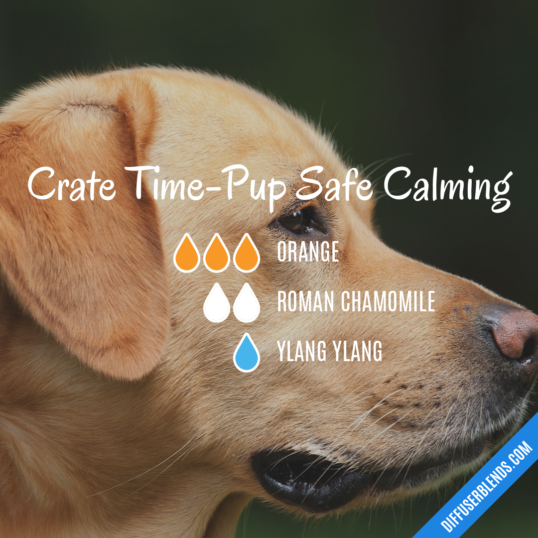Crate Time-Pup Safe Calming | DiffuserBlends.com