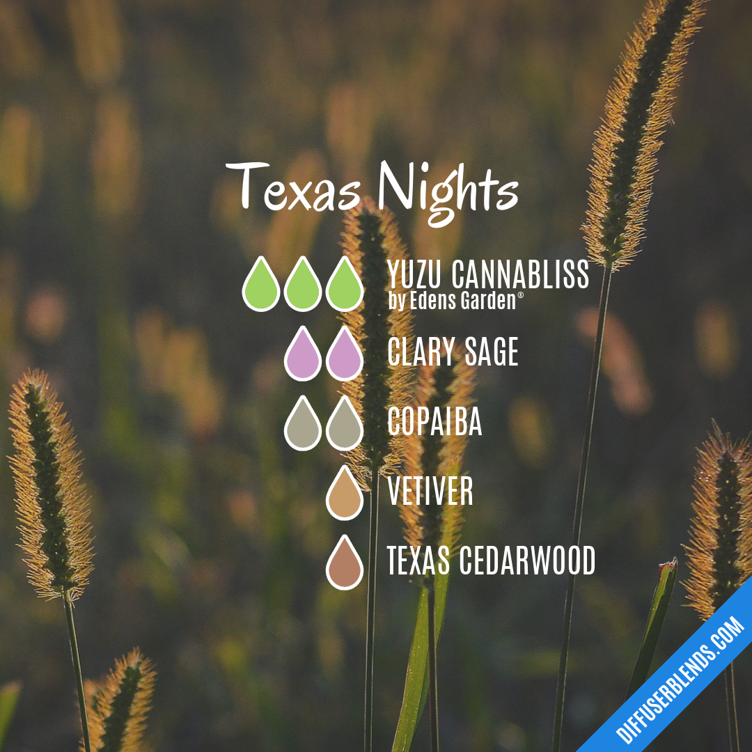 Texas Nights | DiffuserBlends.com
