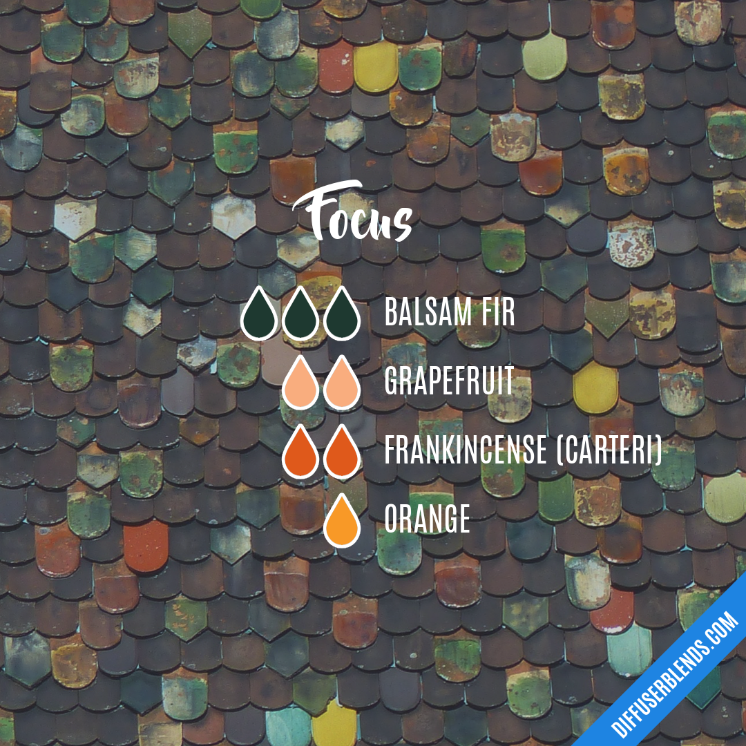 Focus | DiffuserBlends.com