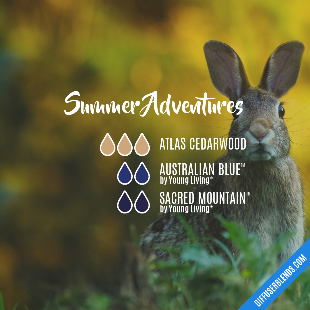 Summer Adventures | DiffuserBlends.com