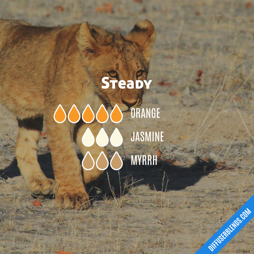 Steady | DiffuserBlends.com