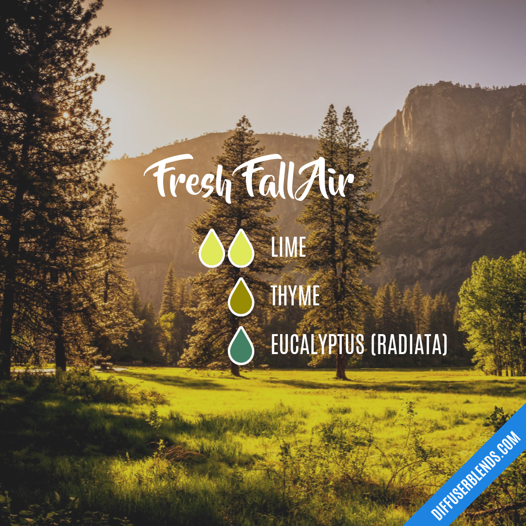 Fresh Fall Air | DiffuserBlends.com