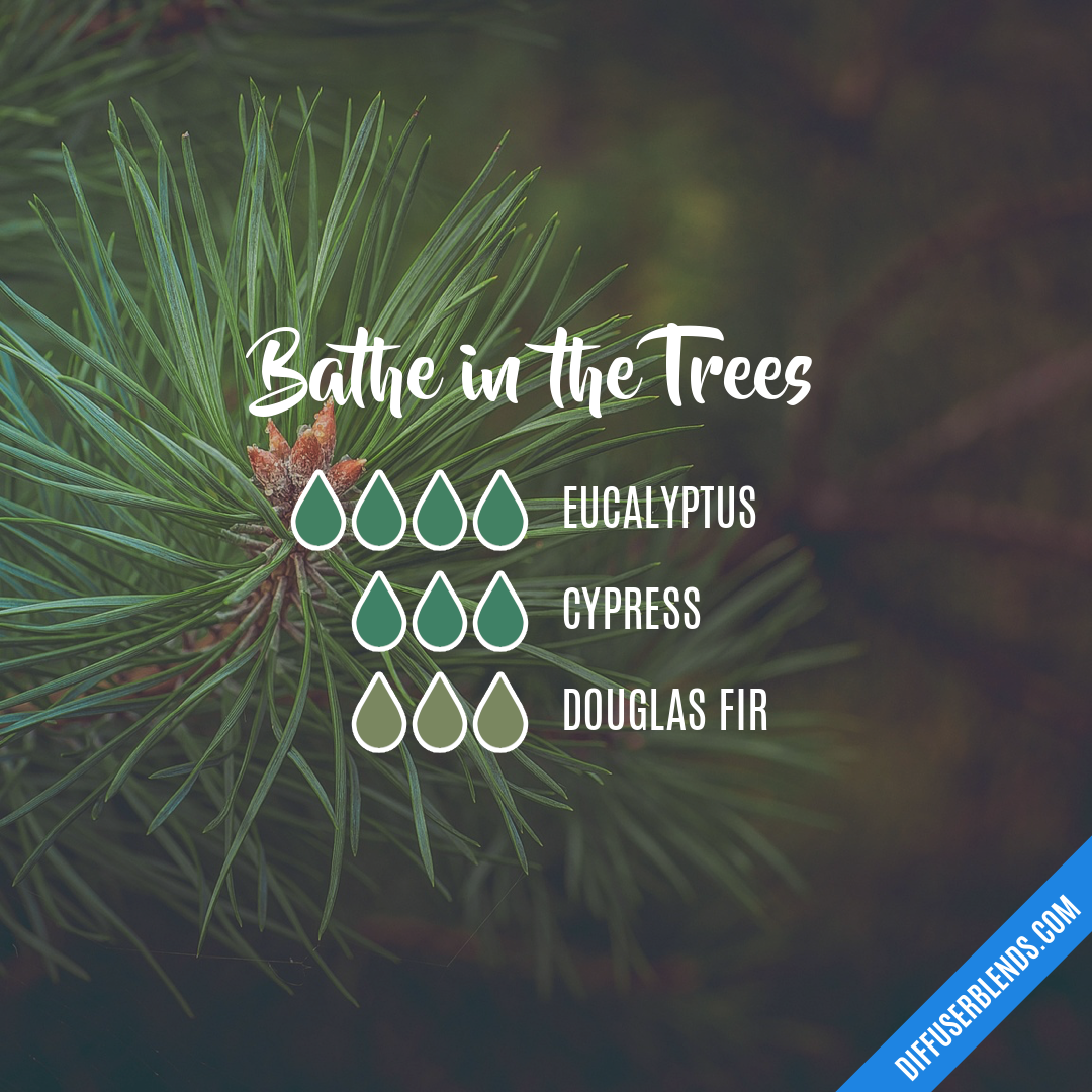 Bathe in the Trees | DiffuserBlends.com