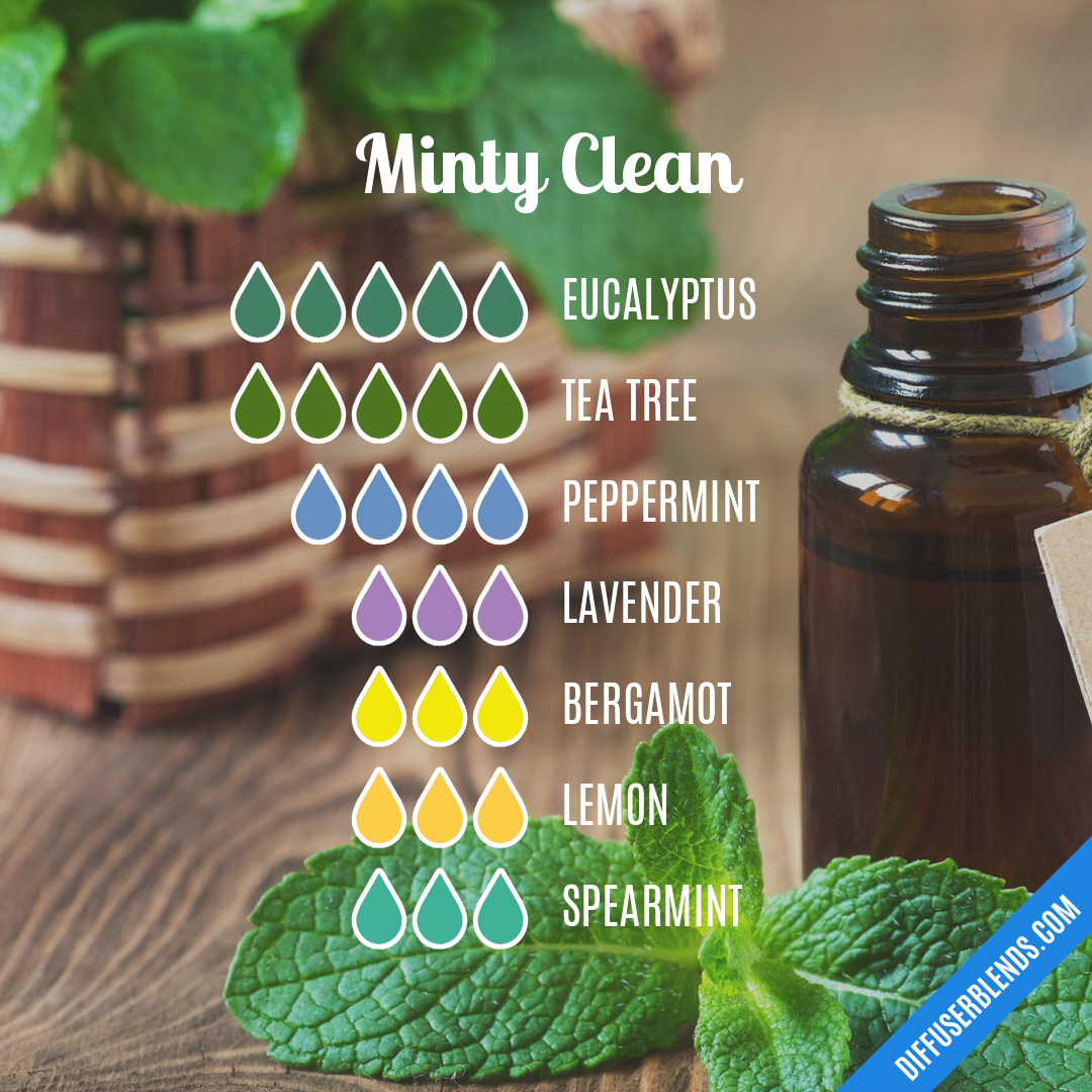 Minty Clean | DiffuserBlends.com