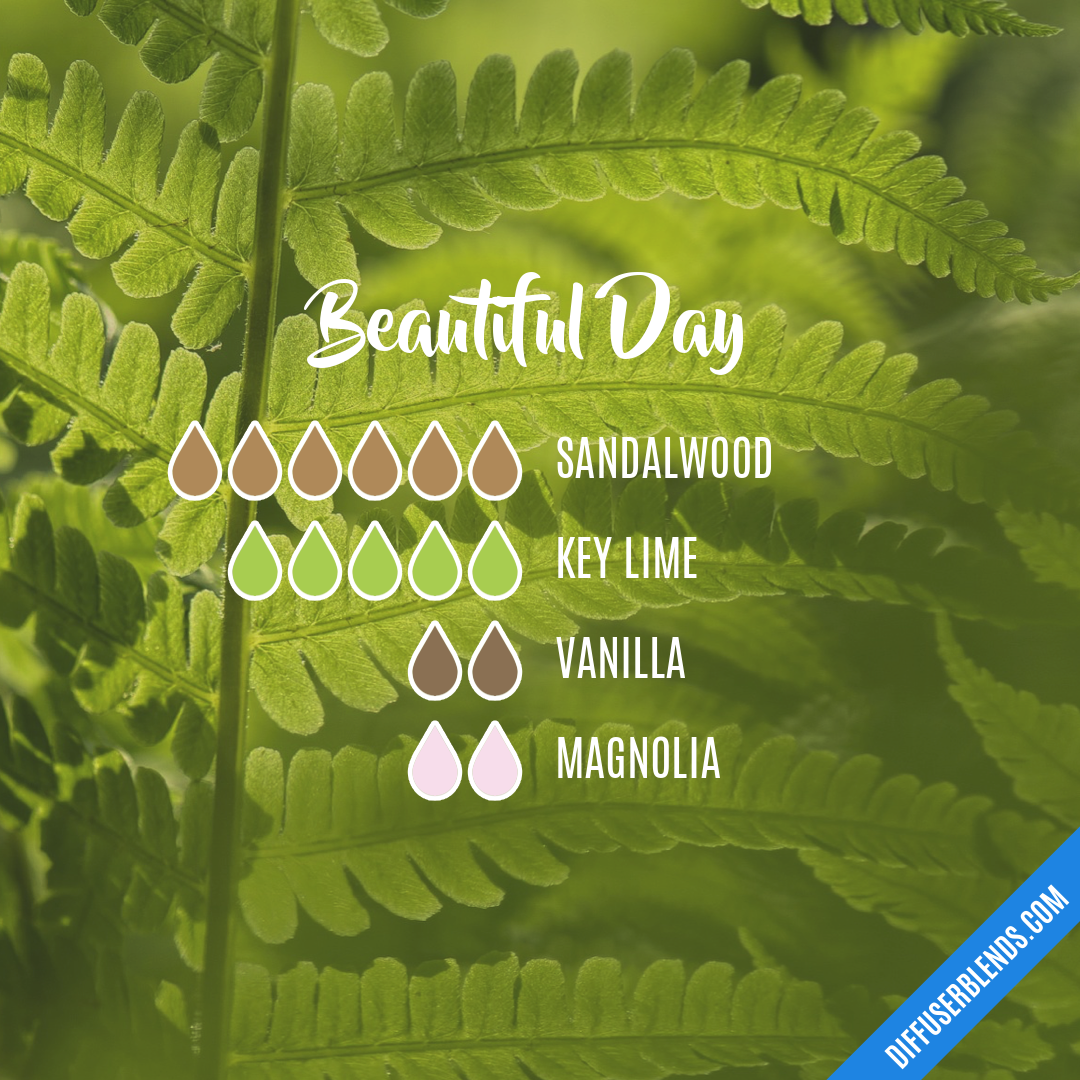 Beautiful Day | DiffuserBlends.com