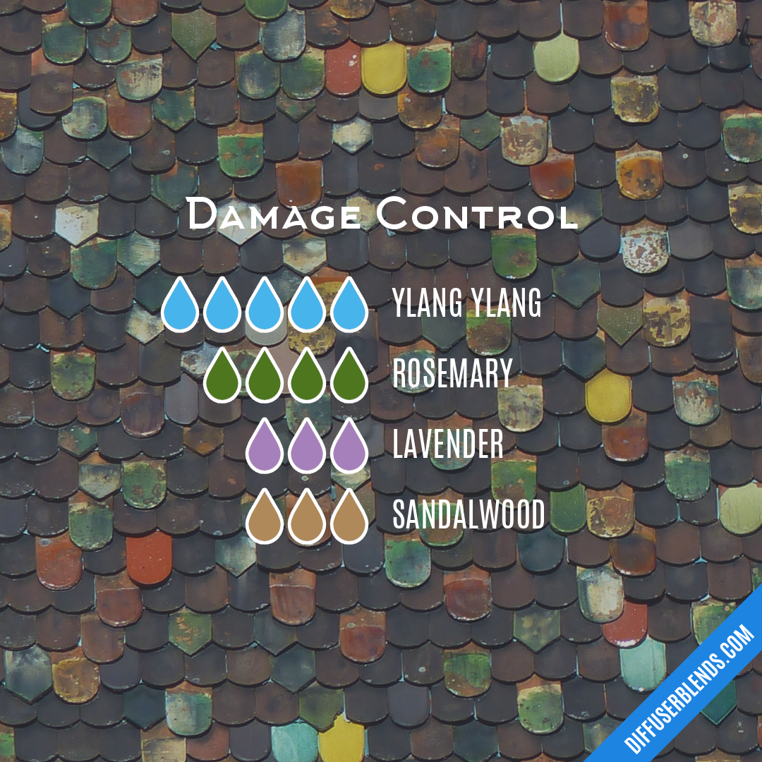 Damage Control | DiffuserBlends.com