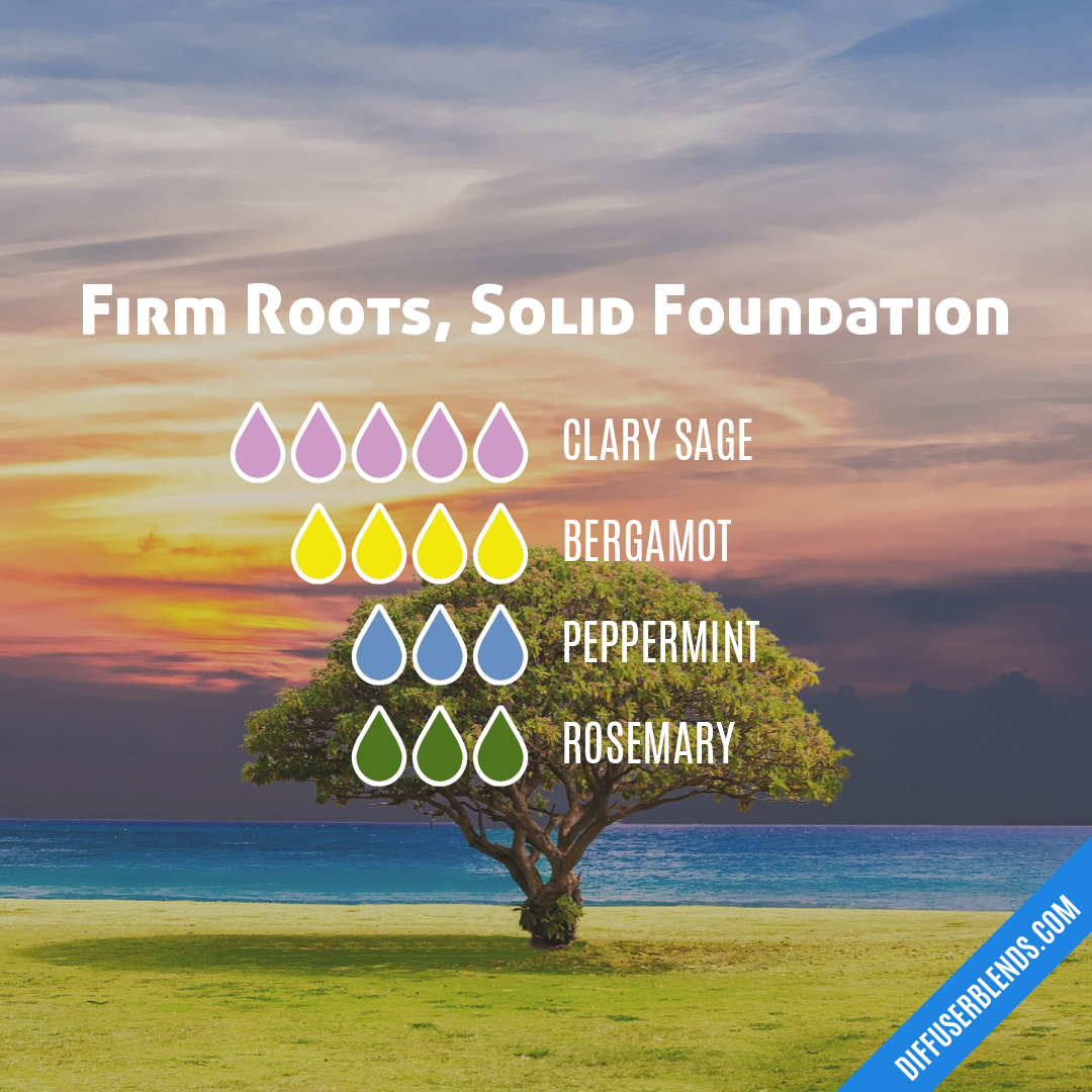 Firm Roots, Solid Foundation | DiffuserBlends.com