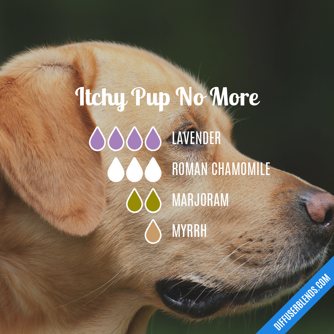 Itchy Pup No More | DiffuserBlends.com