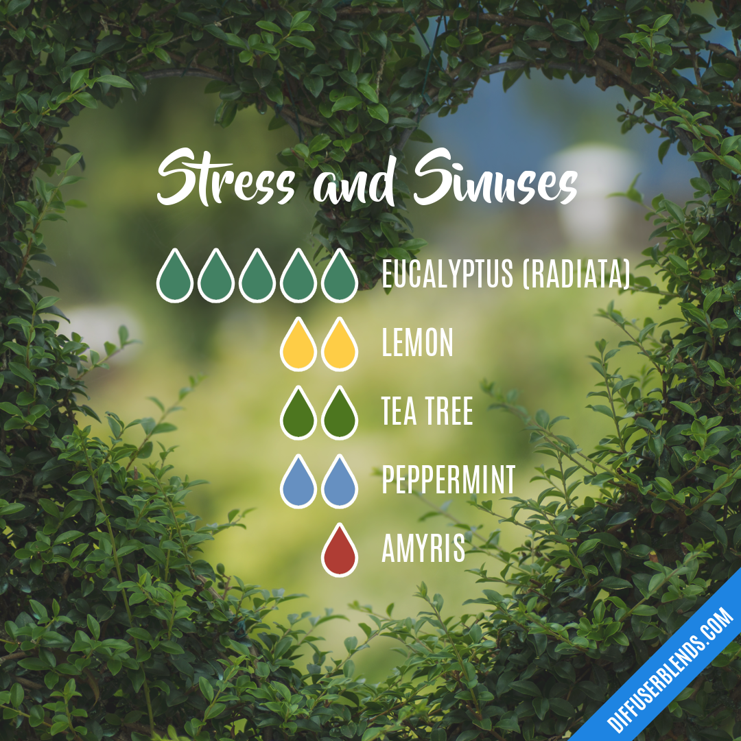 Stress and Sinuses | DiffuserBlends.com