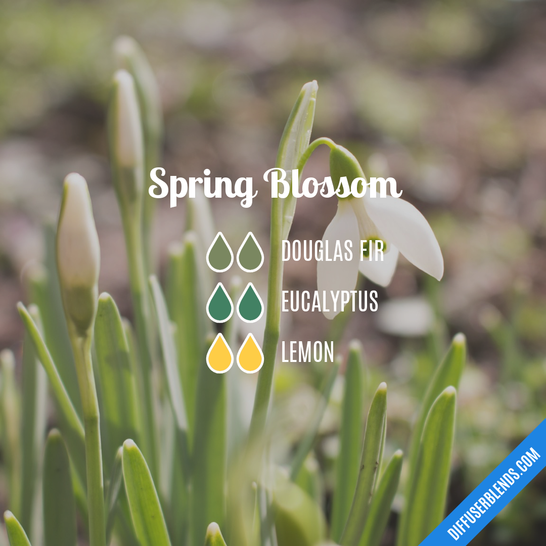 Spring Blossom | DiffuserBlends.com