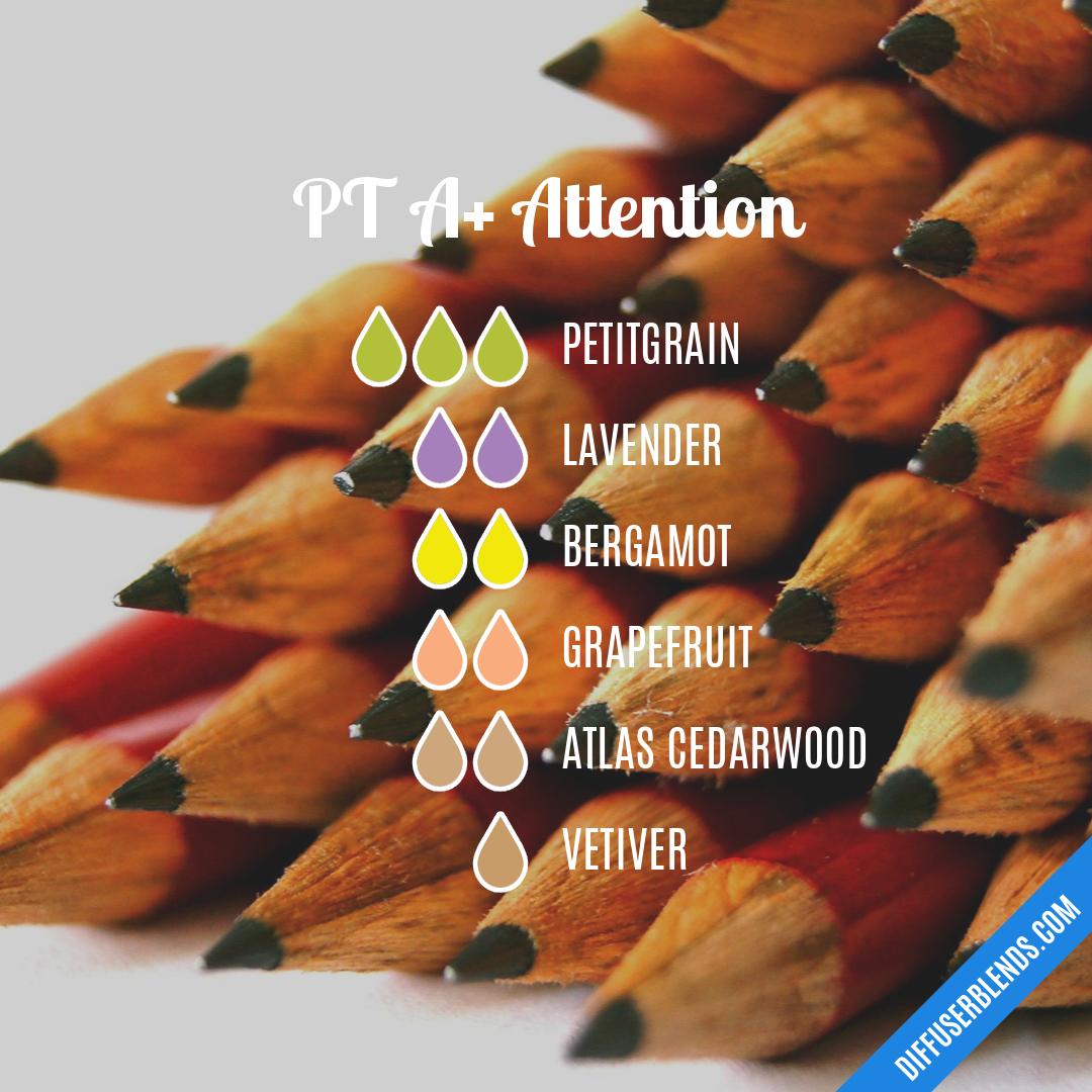 PT A+ Attention | DiffuserBlends.com