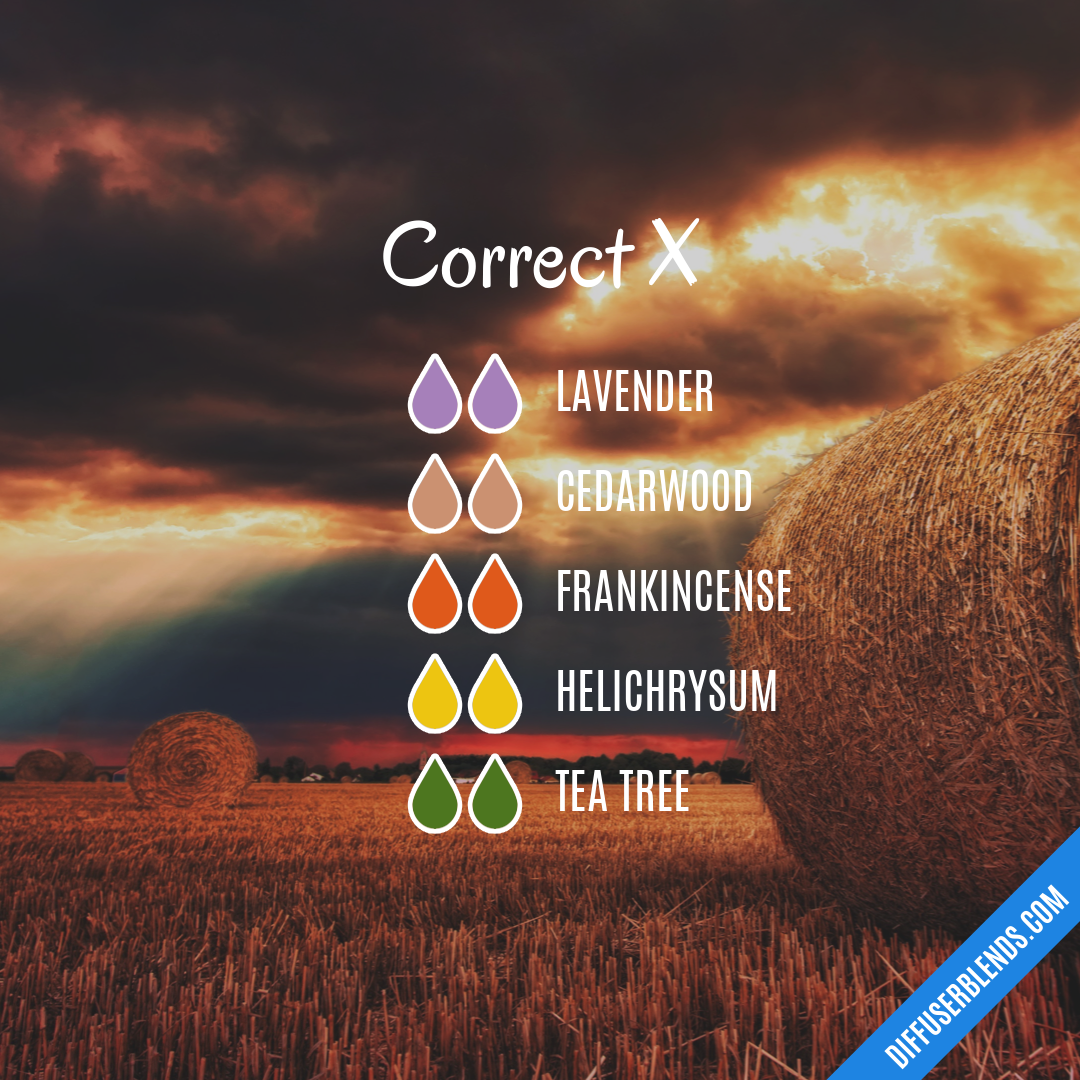 Correct X | DiffuserBlends.com