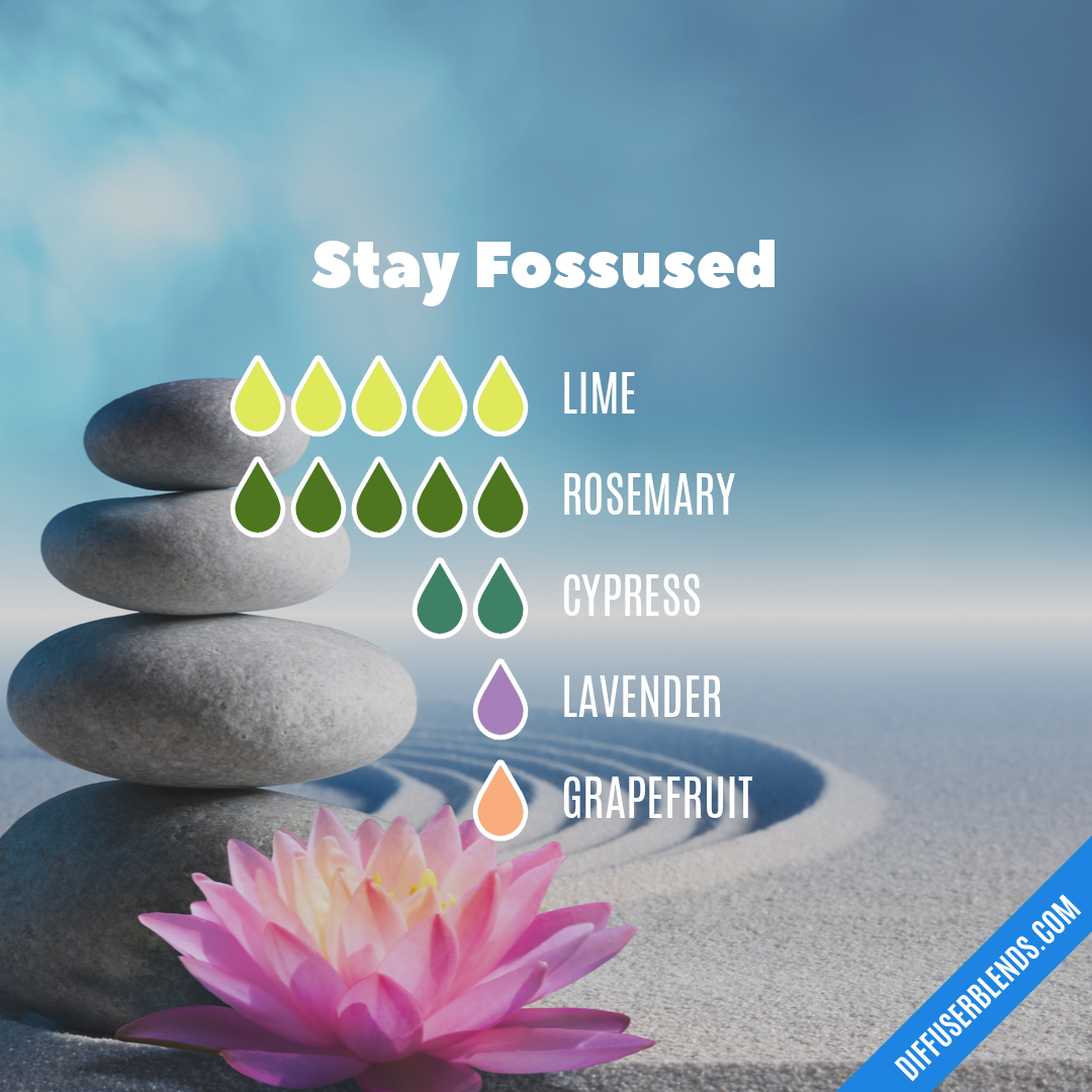 Stay Fossused | DiffuserBlends.com