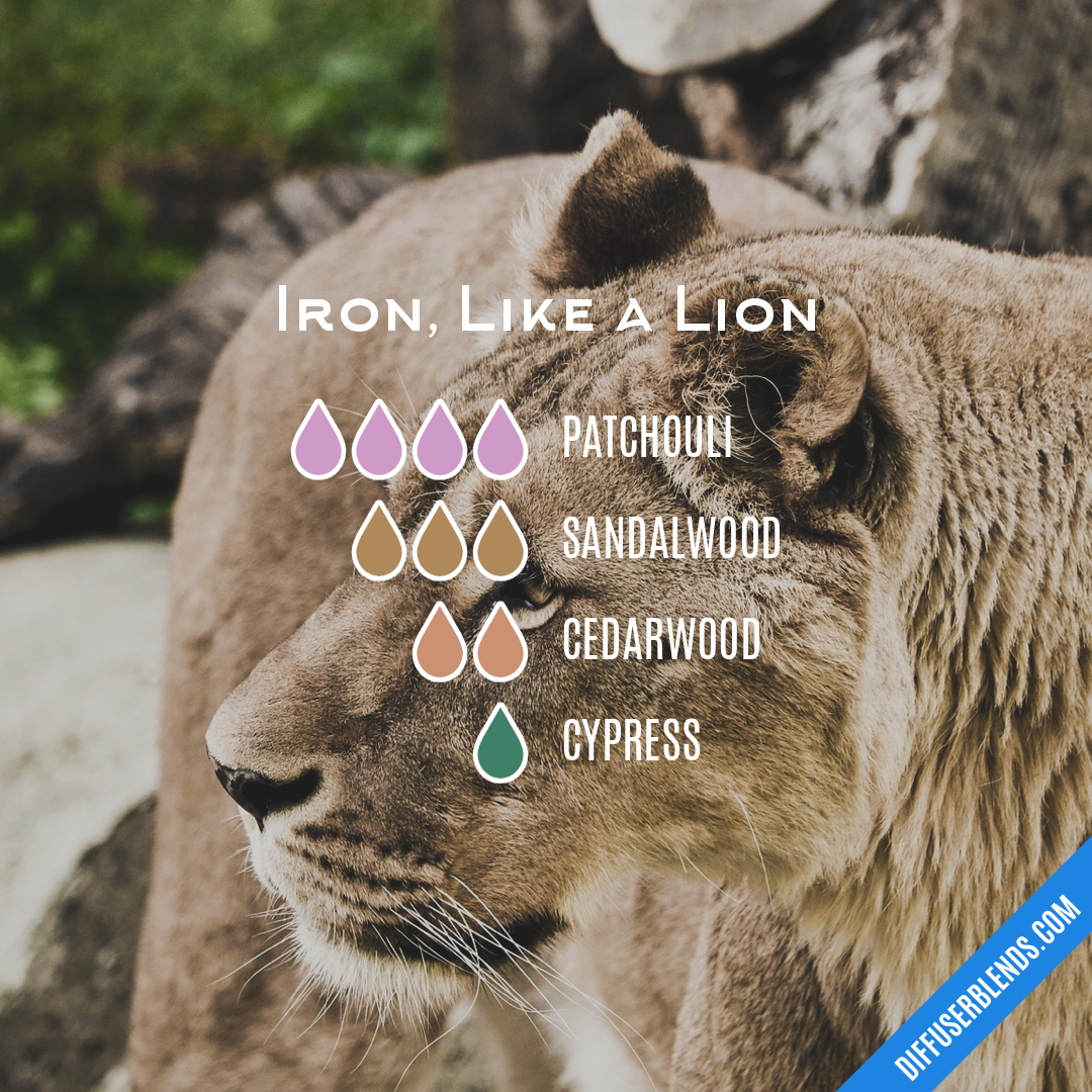 Iron, Like a Lion | DiffuserBlends.com