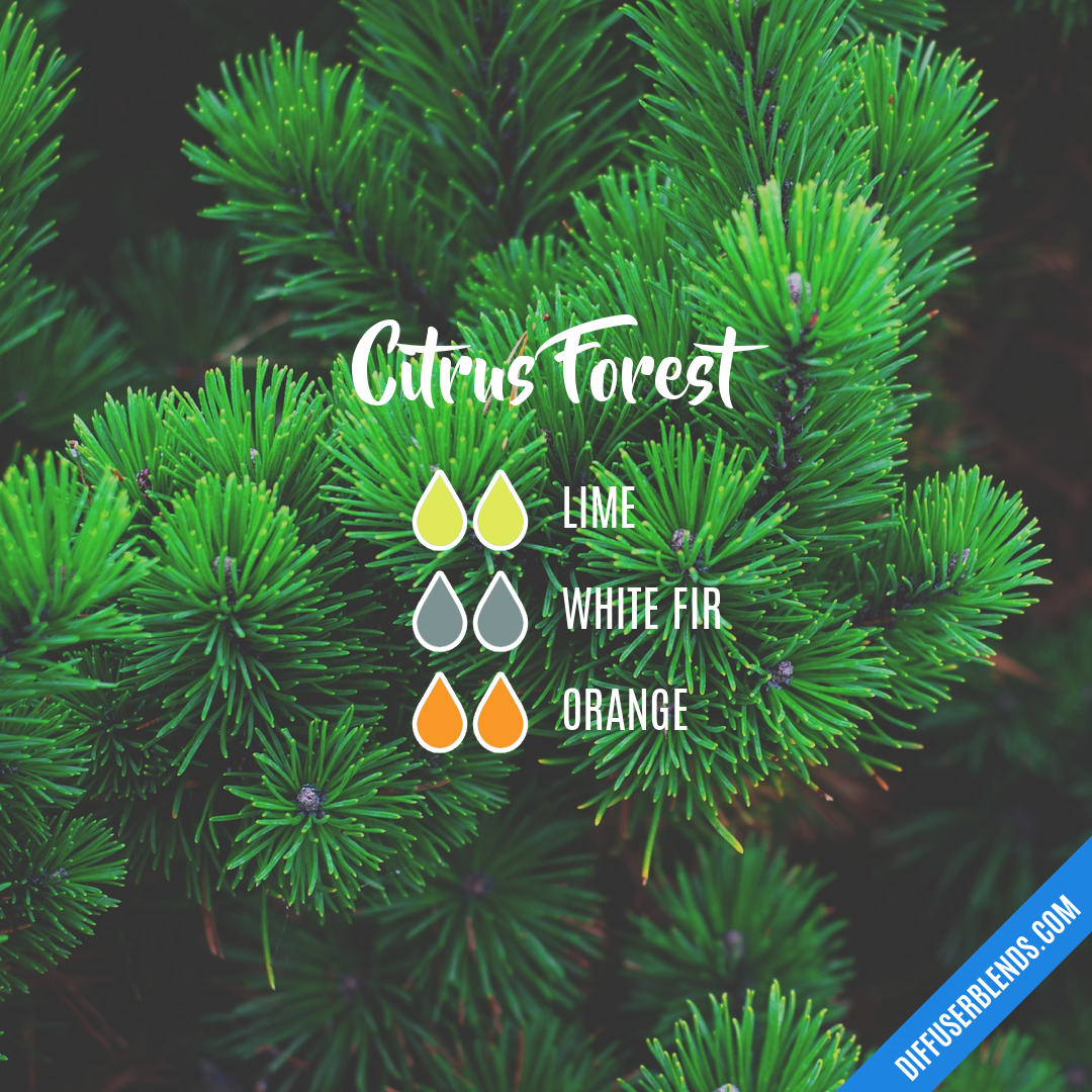 Citrus Forest | DiffuserBlends.com