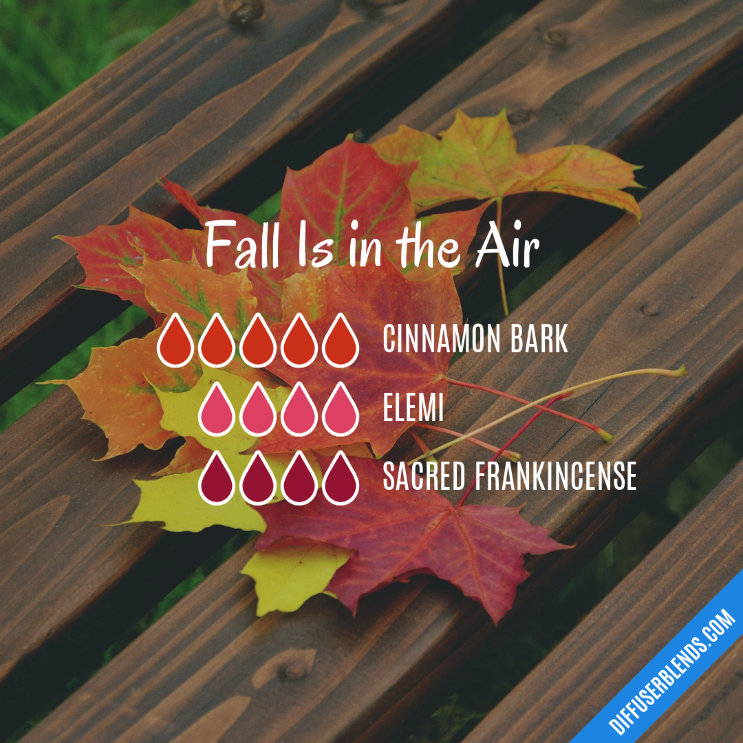 Fall Is in the Air | DiffuserBlends.com