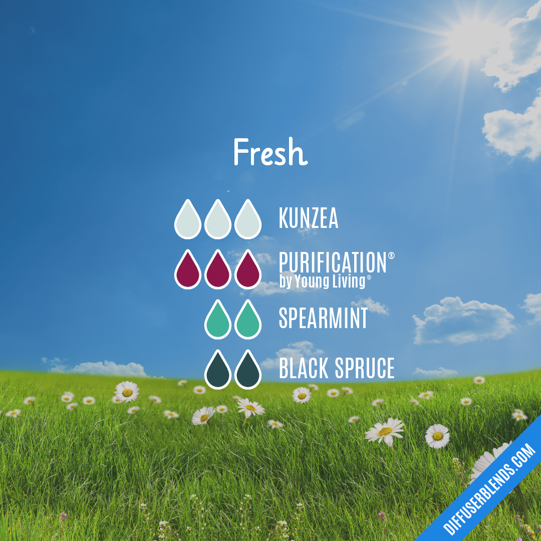 Fresh | DiffuserBlends.com