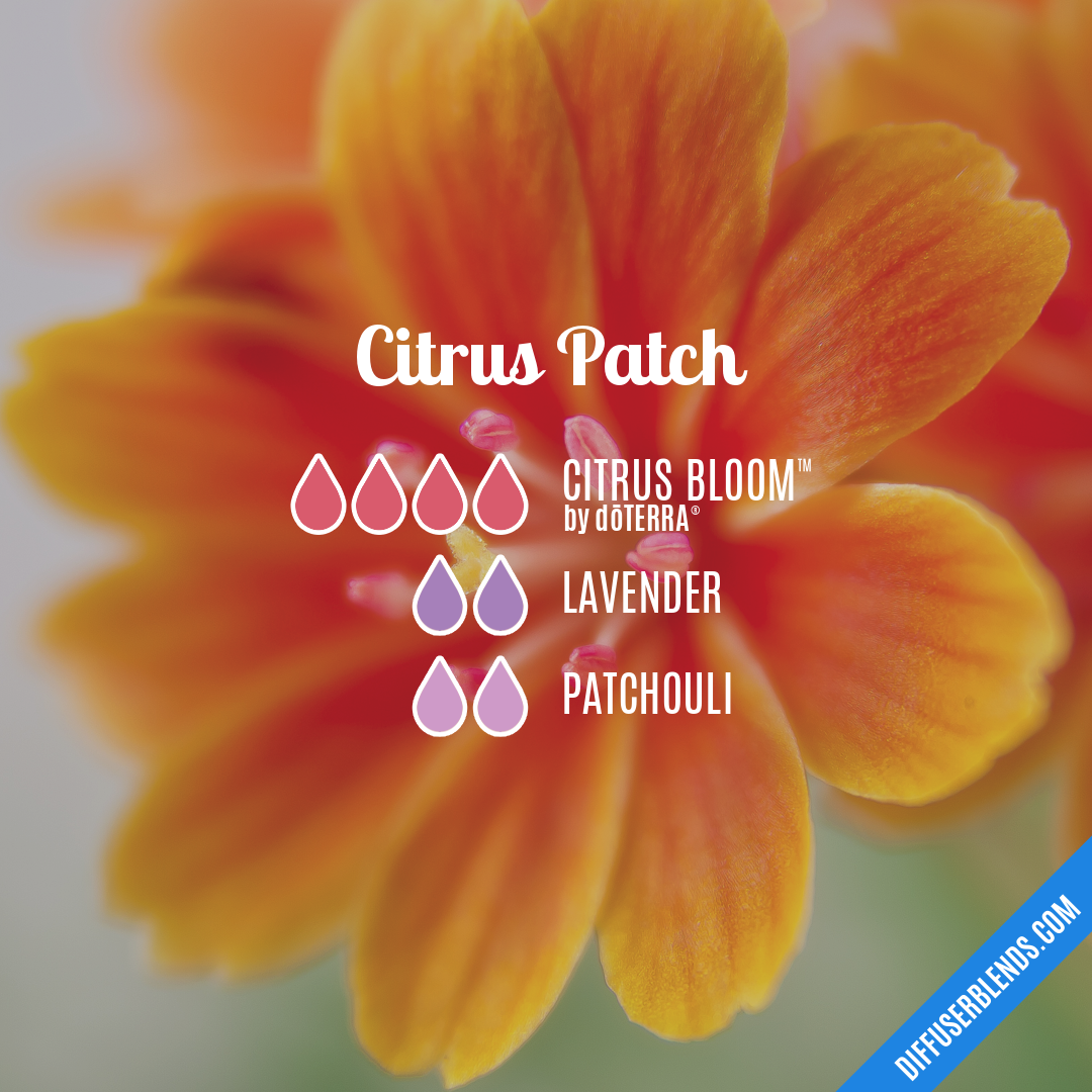 Citrus Patch | DiffuserBlends.com