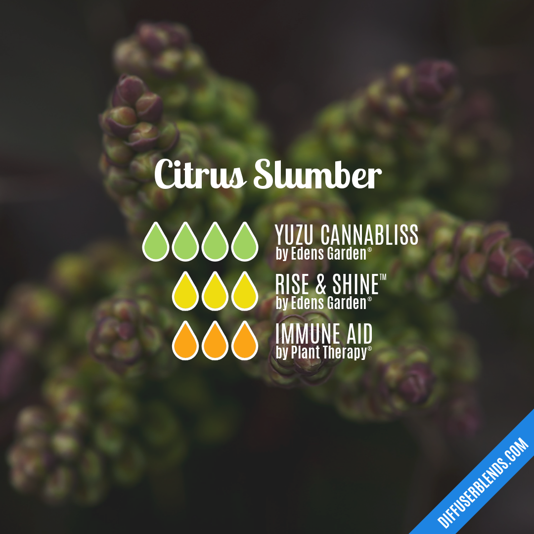 Citrus Slumber | DiffuserBlends.com