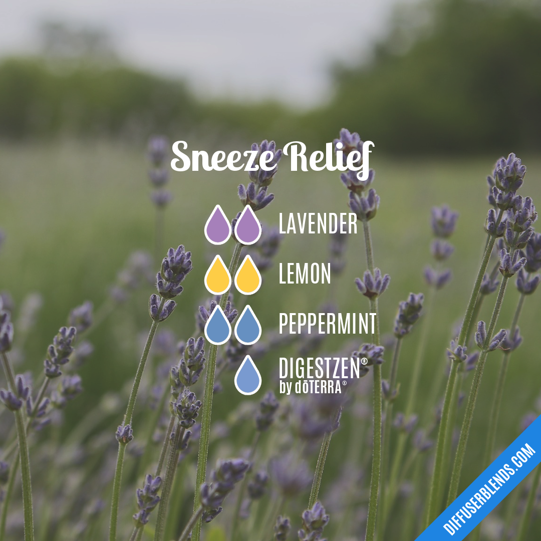 Sneeze Relief