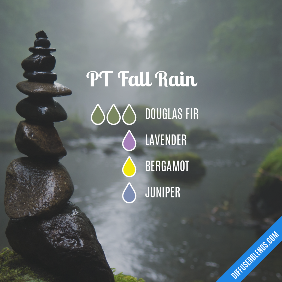 PT Fall Rain | DiffuserBlends.com