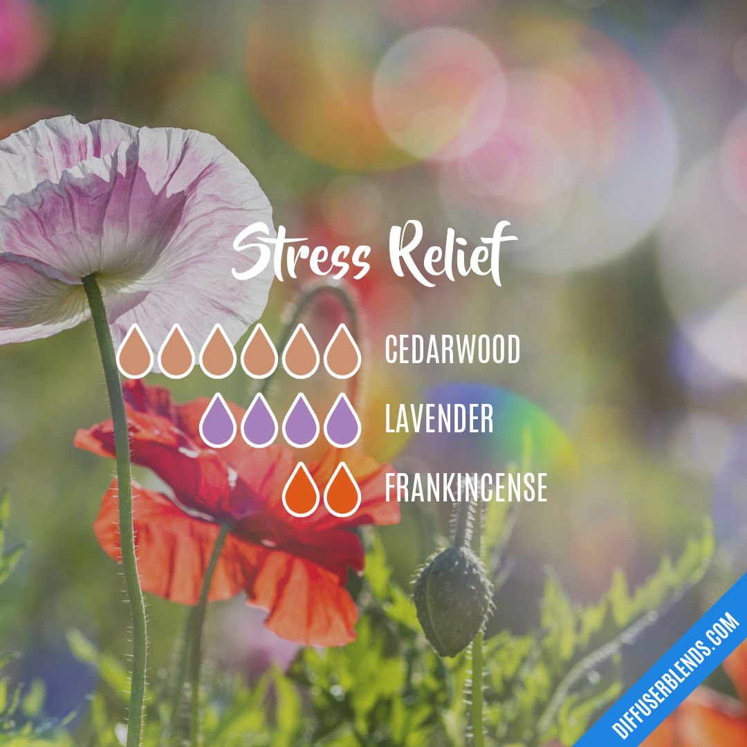 Stress Relief | DiffuserBlends.com