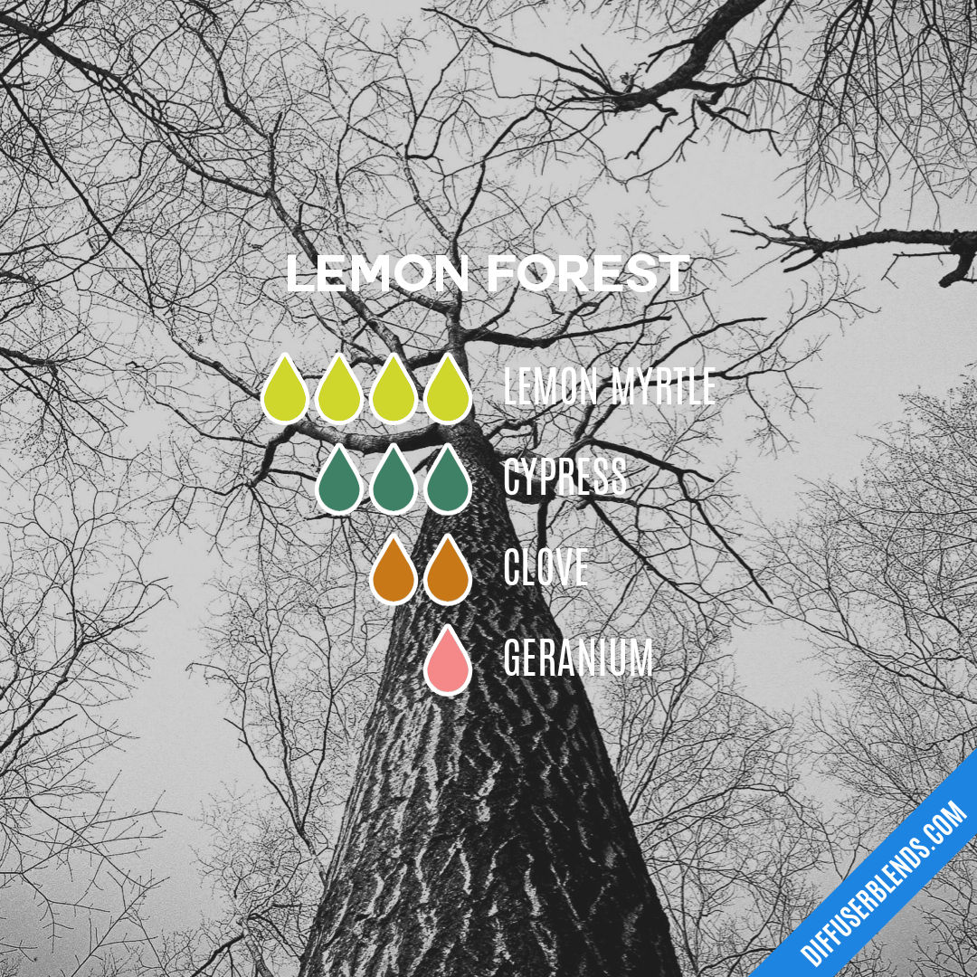 Lemon Forest | DiffuserBlends.com