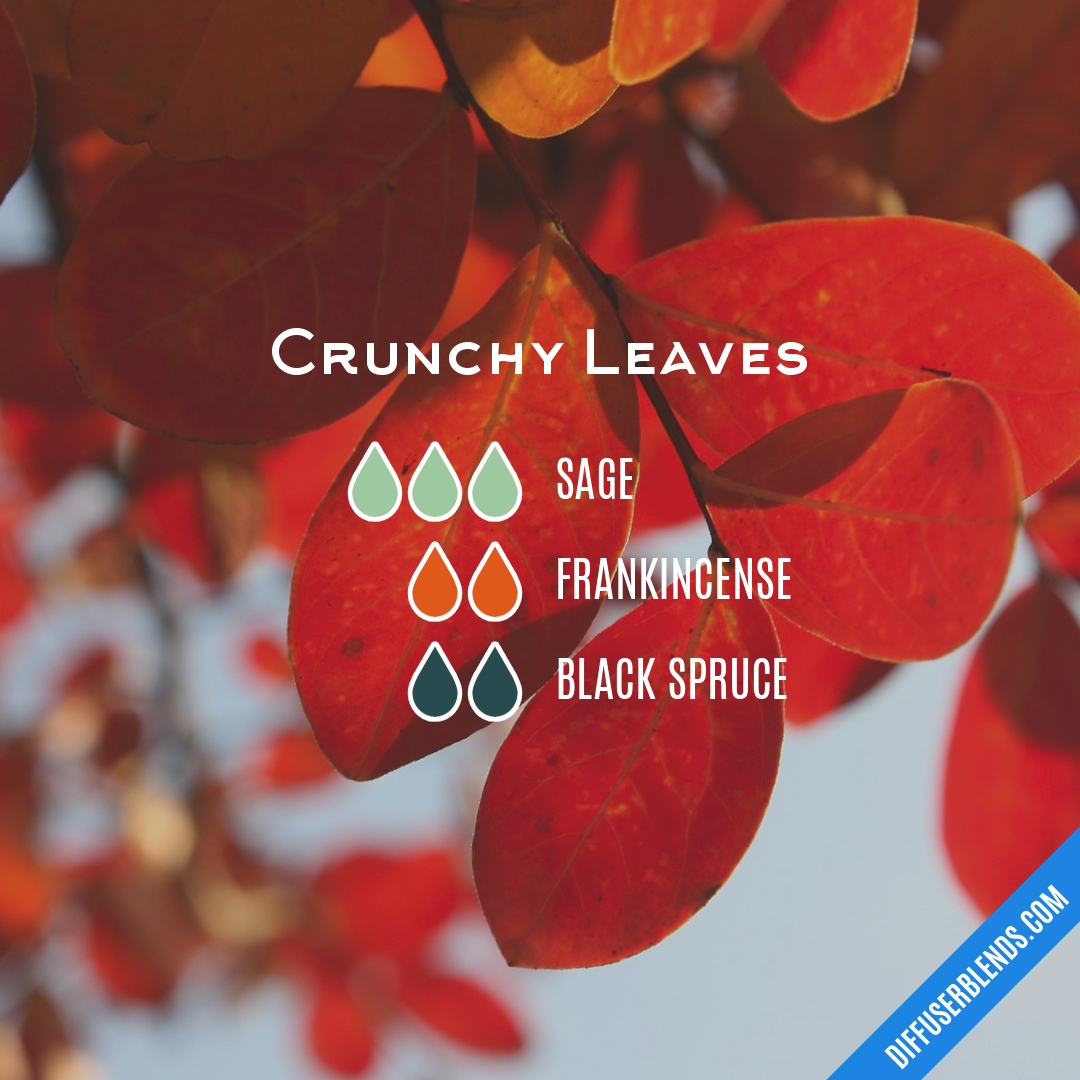 Crunchy Leaves | DiffuserBlends.com