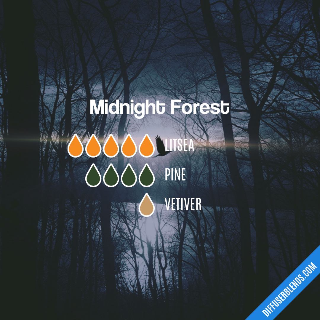 Midnight Forest | DiffuserBlends.com