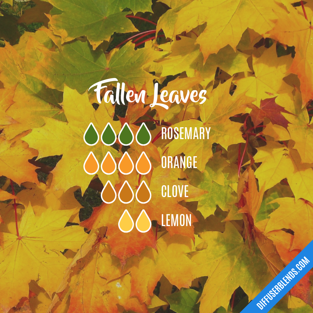 Fallen Leaves | DiffuserBlends.com