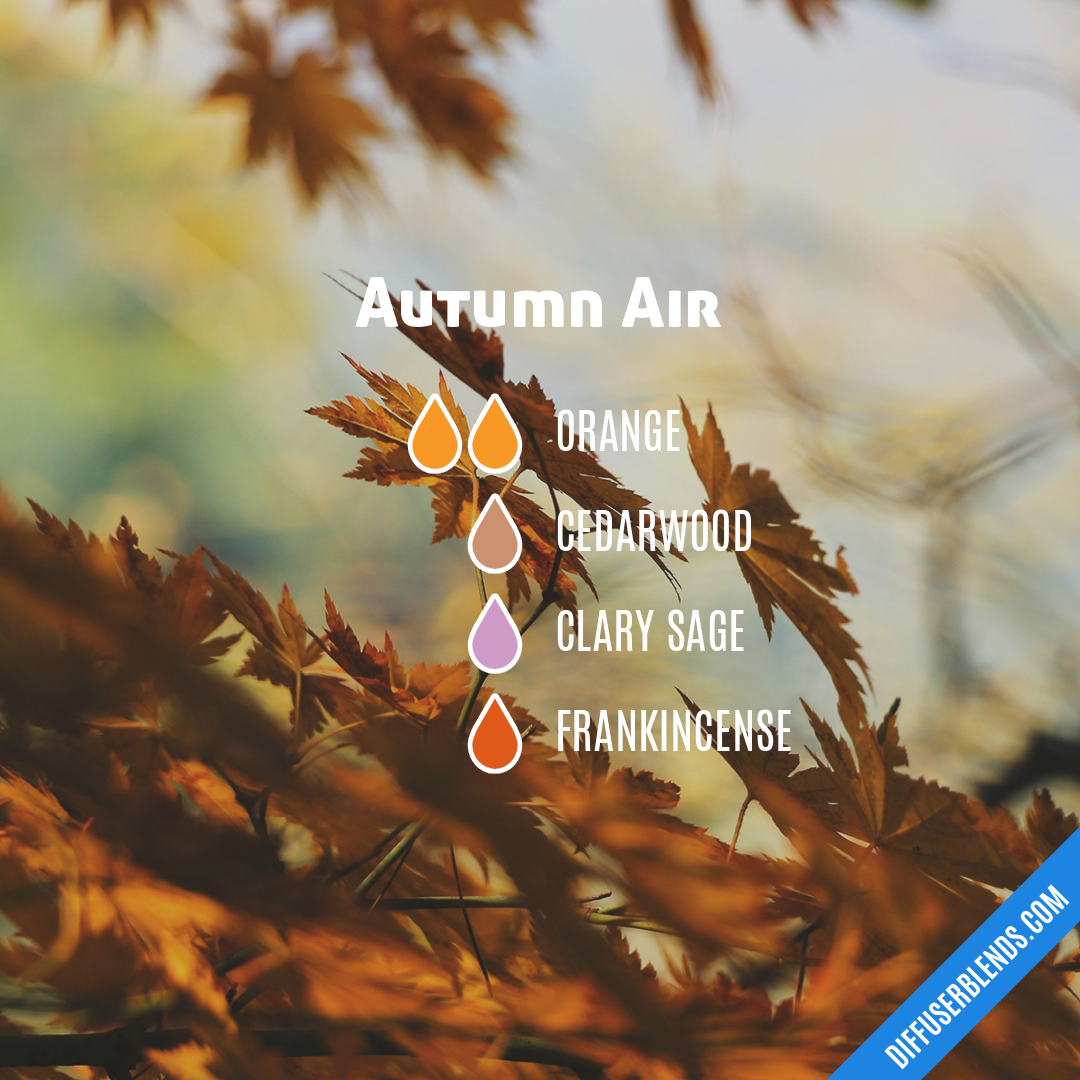 Autumn Air | DiffuserBlends.com