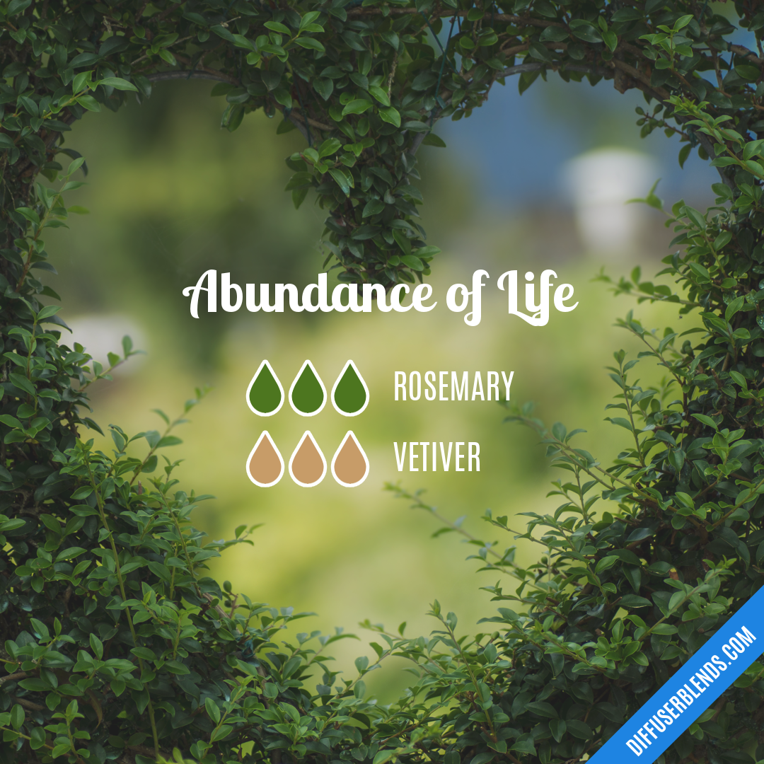 Abundance of Life | DiffuserBlends.com