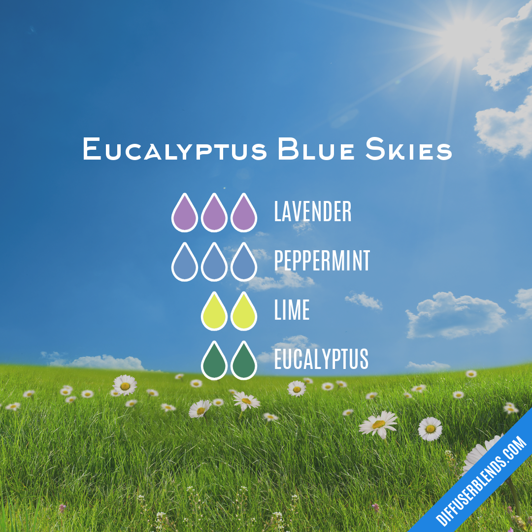 Eucalyptus Blue Skies | DiffuserBlends.com