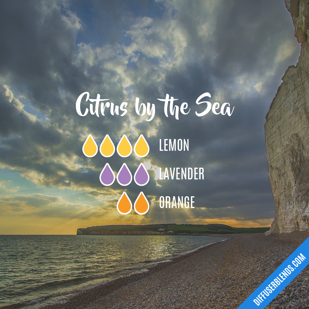 Citrus by the Sea | DiffuserBlends.com