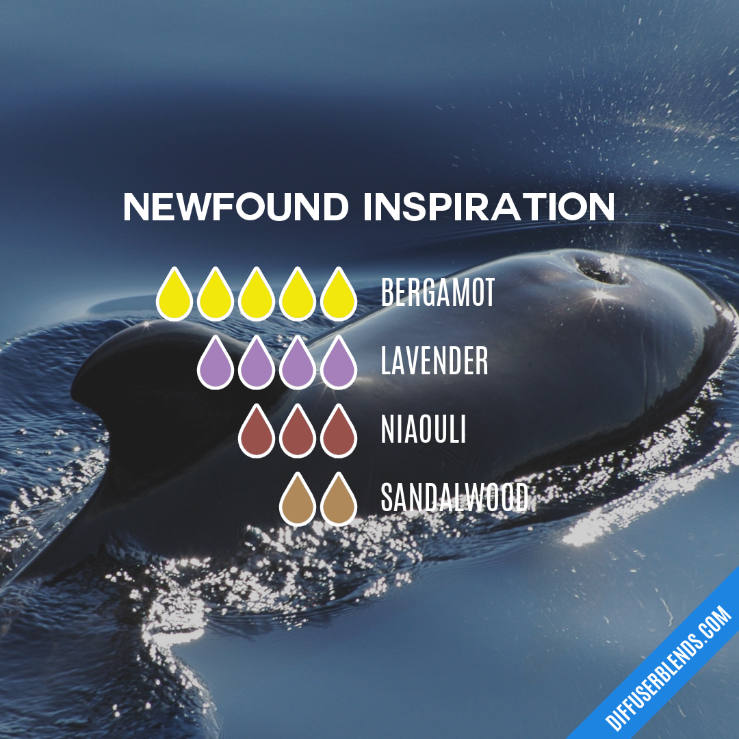 Newfound Inspiration | DiffuserBlends.com