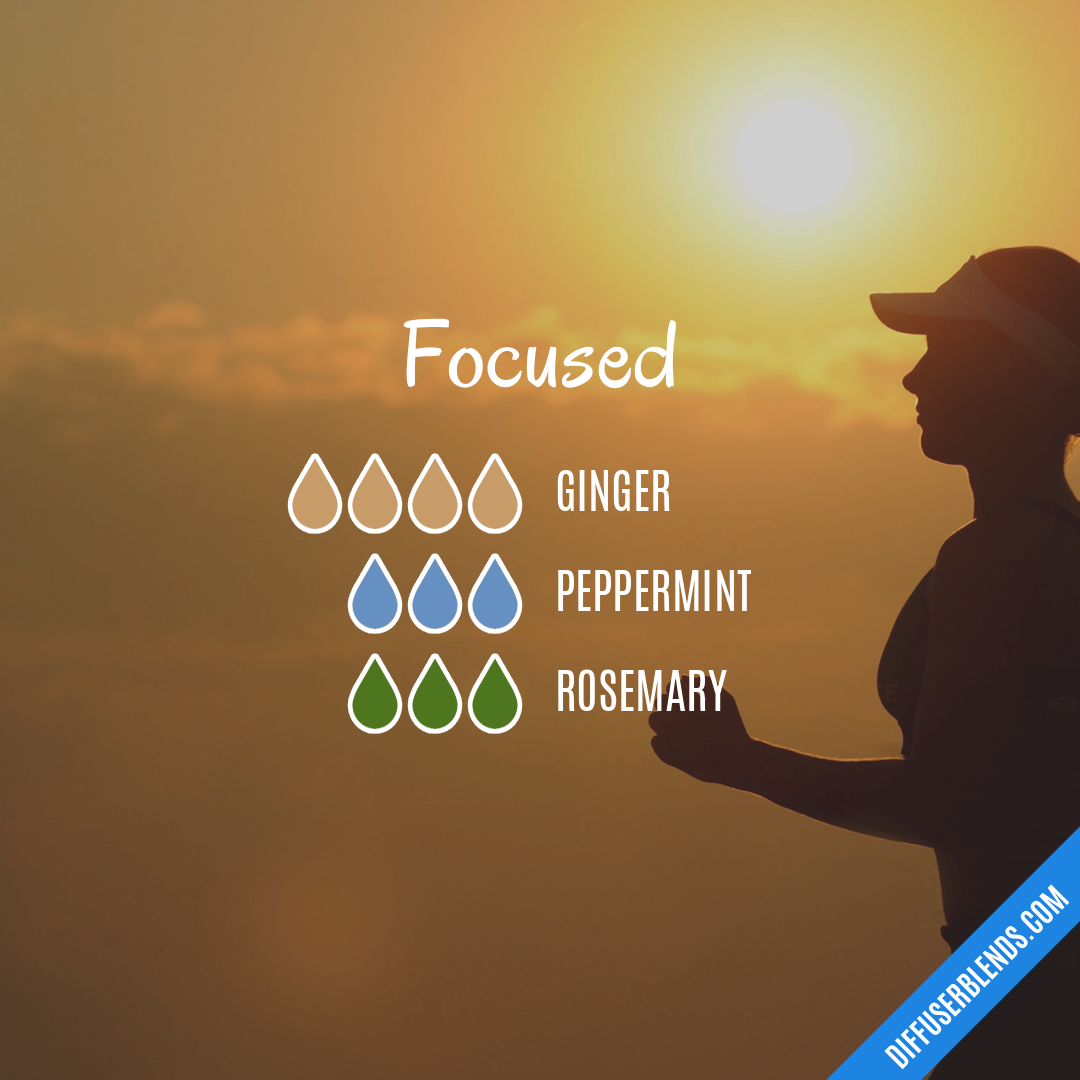 Focused | DiffuserBlends.com