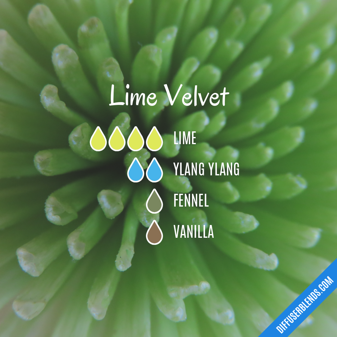Lime Velvet | DiffuserBlends.com