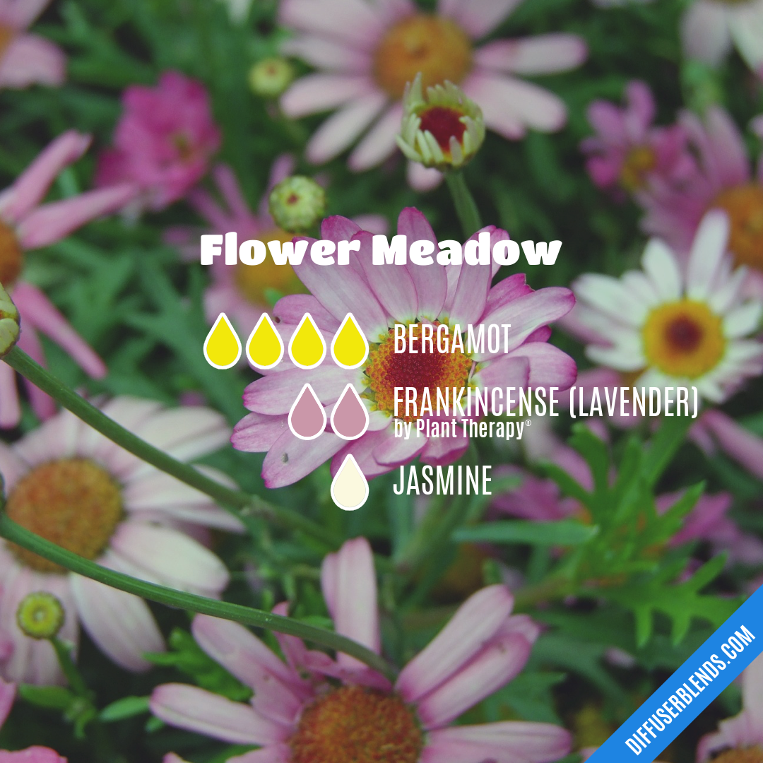 Flower Meadow | DiffuserBlends.com