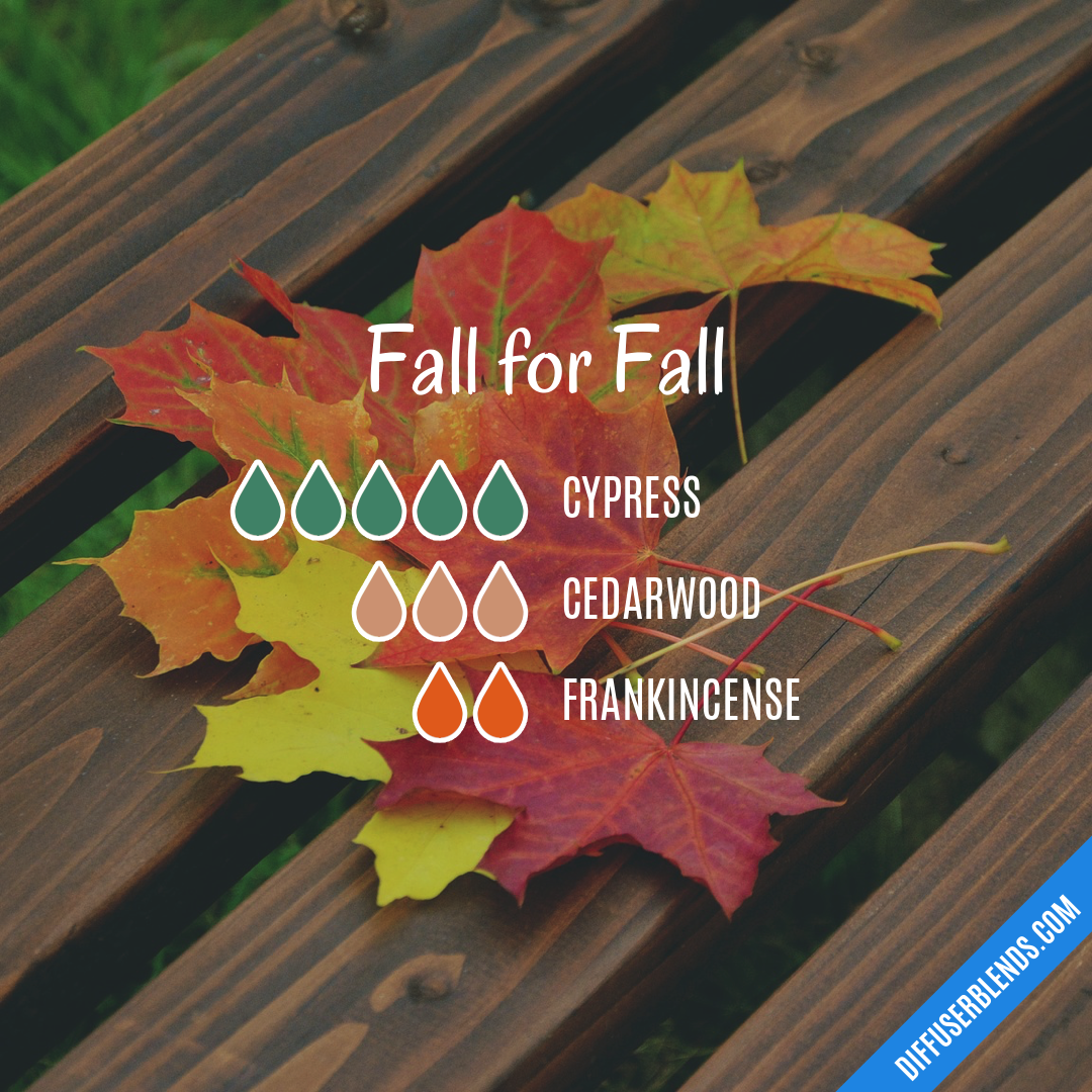 Fall for Fall | DiffuserBlends.com