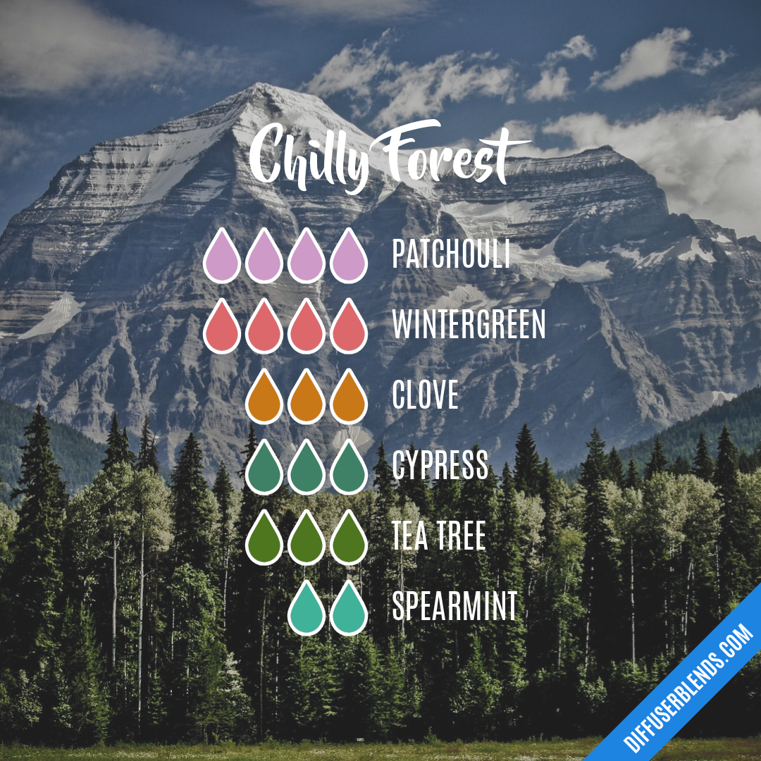 Chilly Forest | DiffuserBlends.com