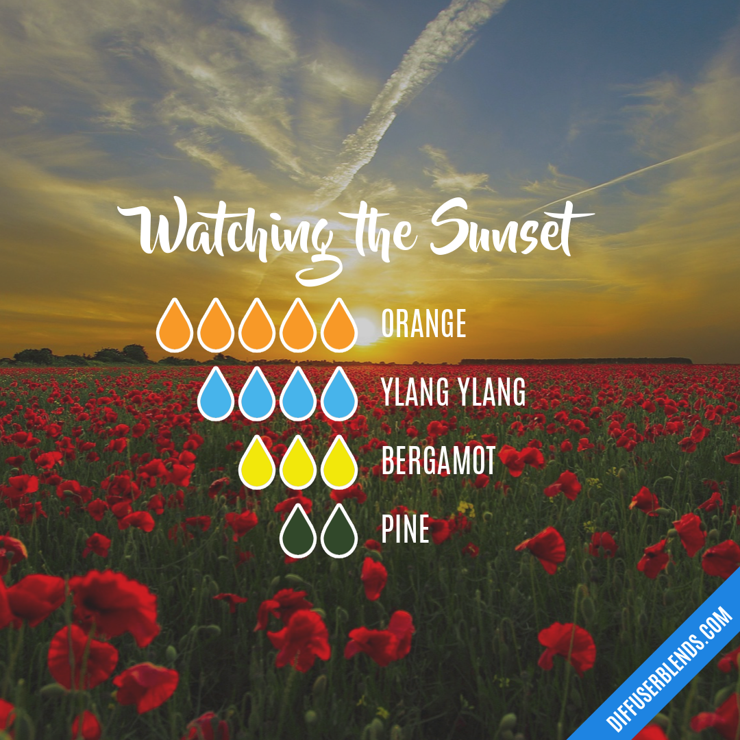 Watching the Sunset | DiffuserBlends.com
