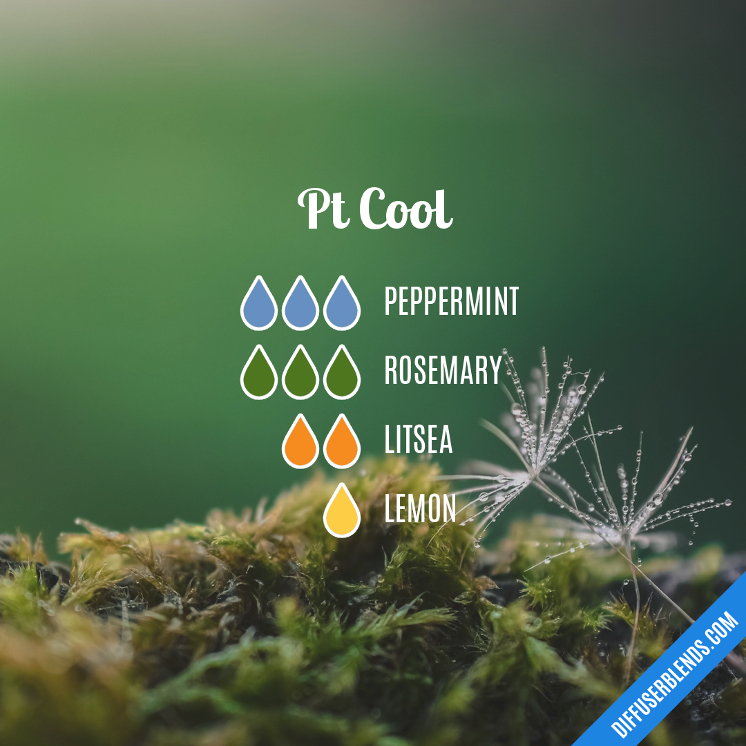 Pt Cool | DiffuserBlends.com