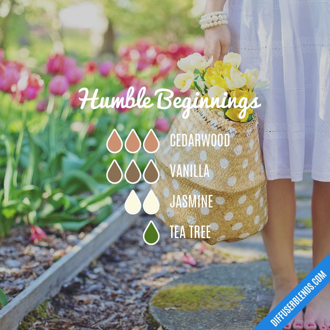 Humble Beginnings | DiffuserBlends.com