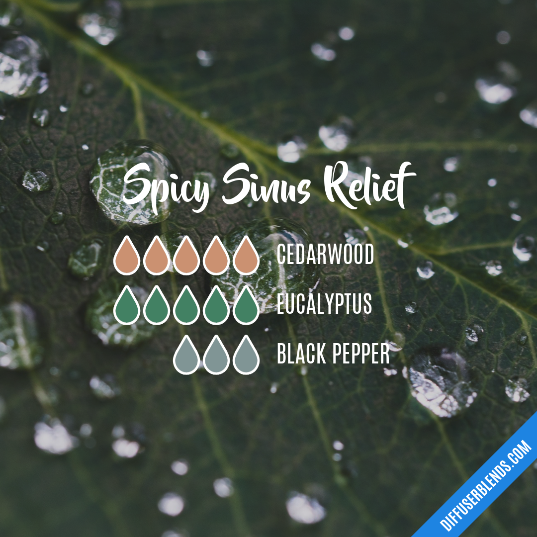 Spicy Sinus Relief | DiffuserBlends.com